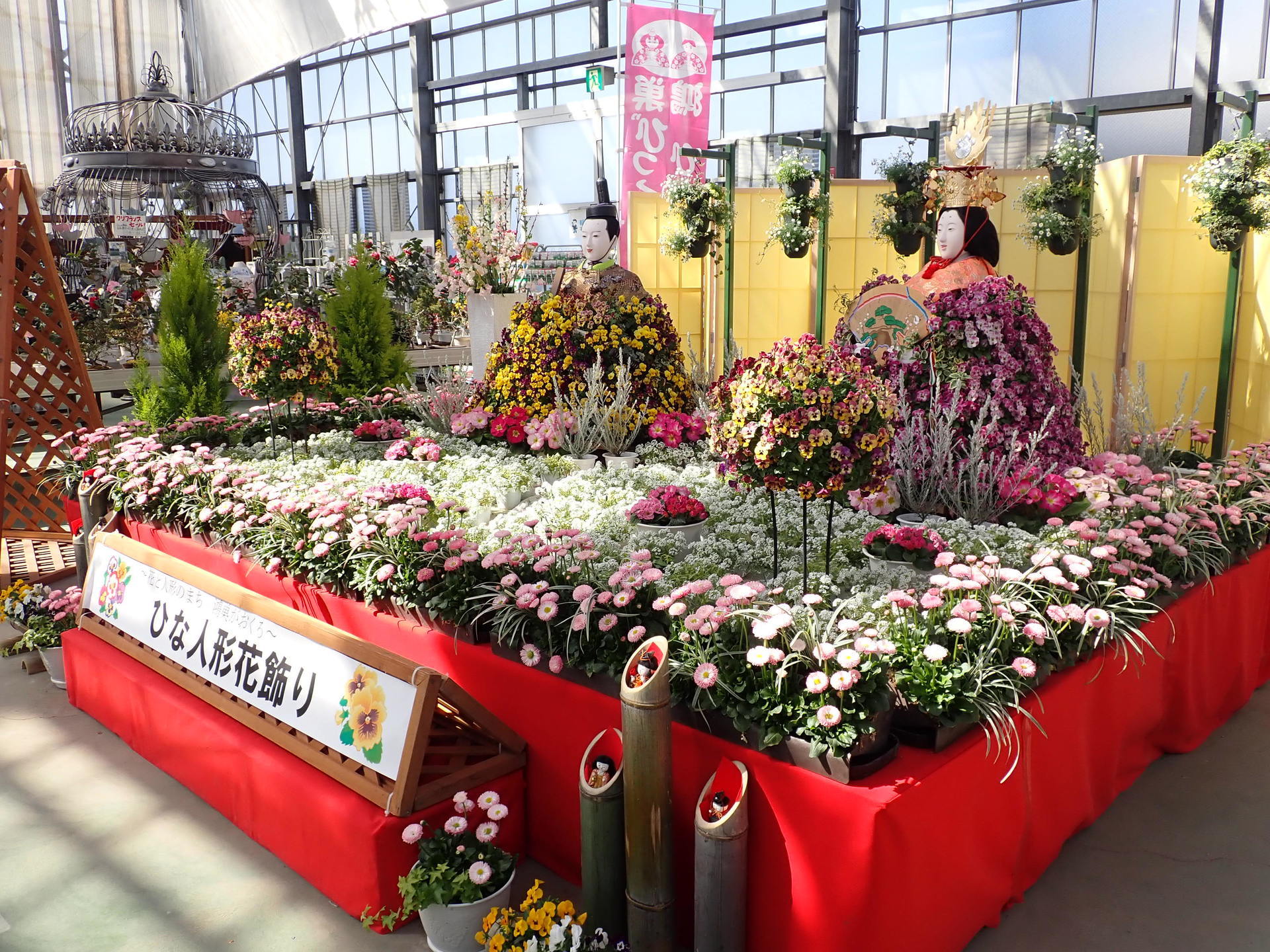鴻巣びっくりひな祭り2023＠鴻巣農産物直売所「パンジーハウス」: Landscape photography